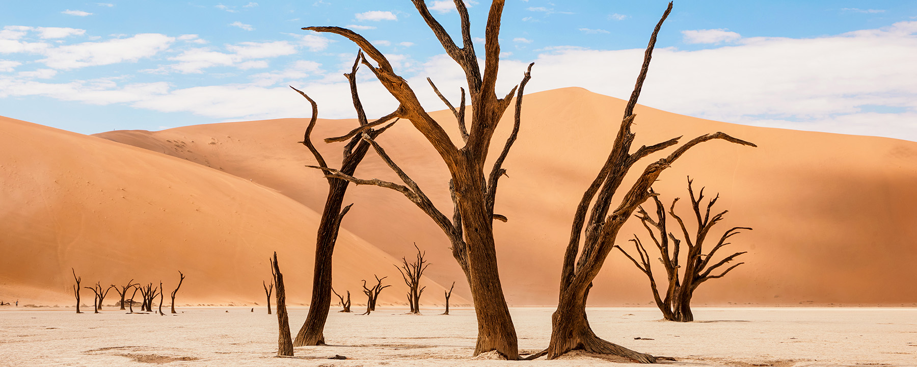 Holidays in Windhoek, Namibia - Direct flights & round trips | Edelweiss