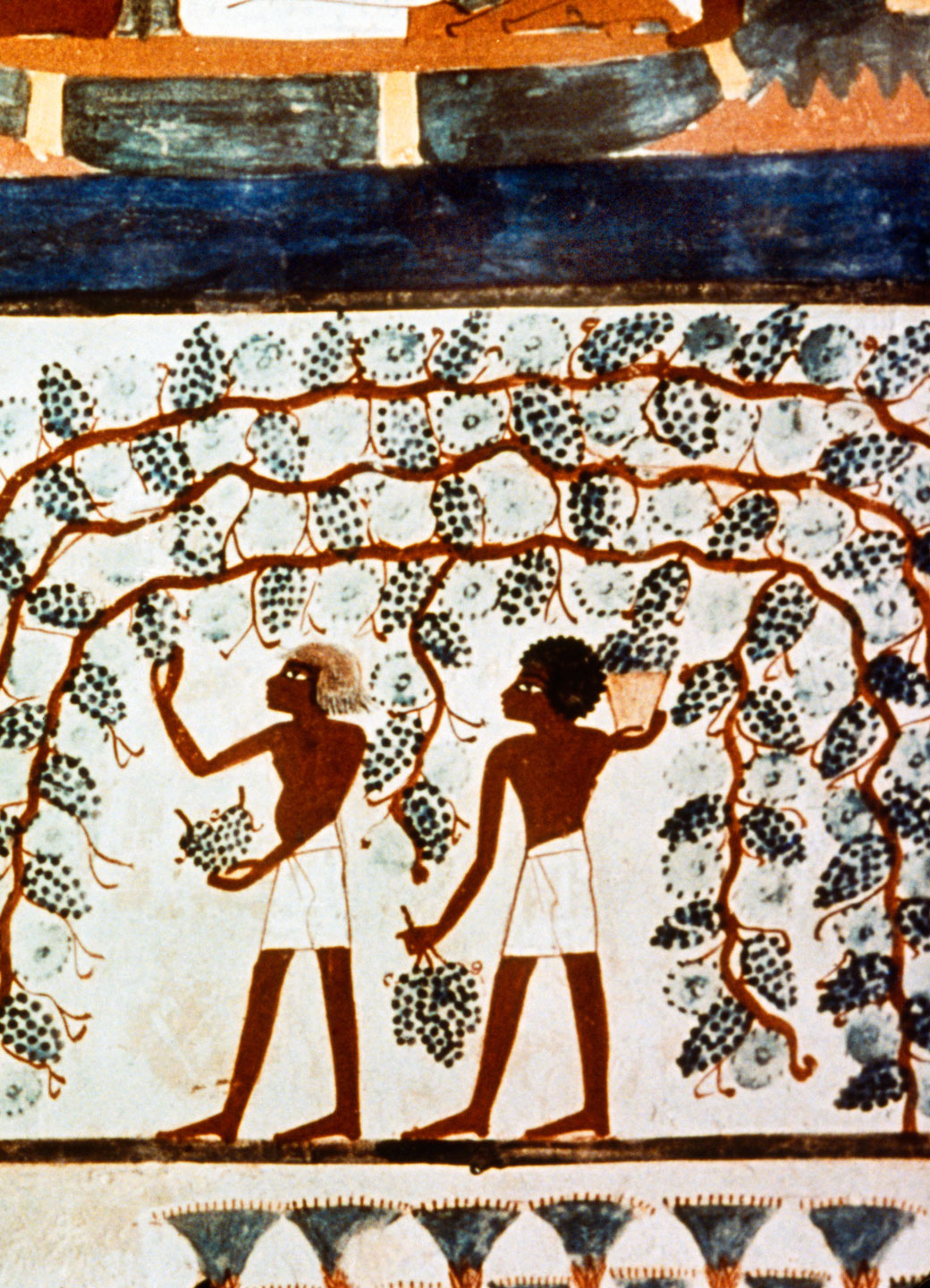 El Gouna: Wine from the Egyptian desert | Edelweiss