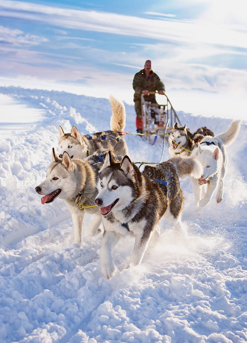 7 Tips for Husky Tours in Ruka-Kuusamo | Edelweiss
