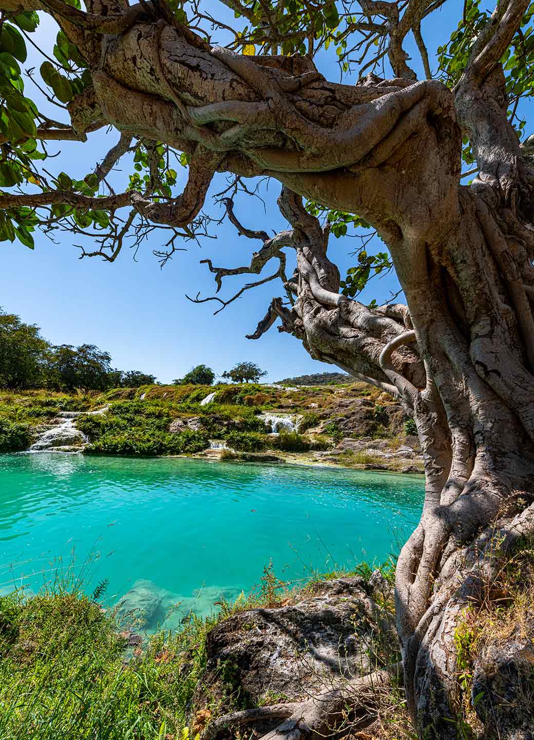 Wadi Darbat – the valley of natural wonders | Edelweiss